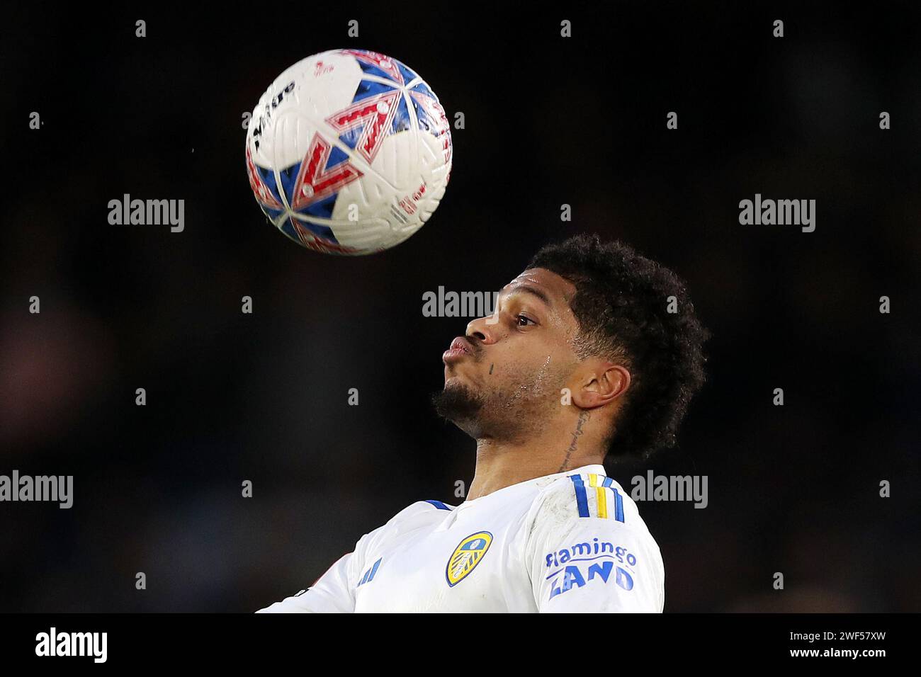 Georginio Rutter del Leeds United in azione durante la partita del ...