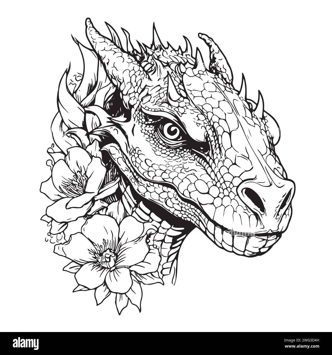 Disegno drago da colorare immagini e fotografie stock ad alta ...