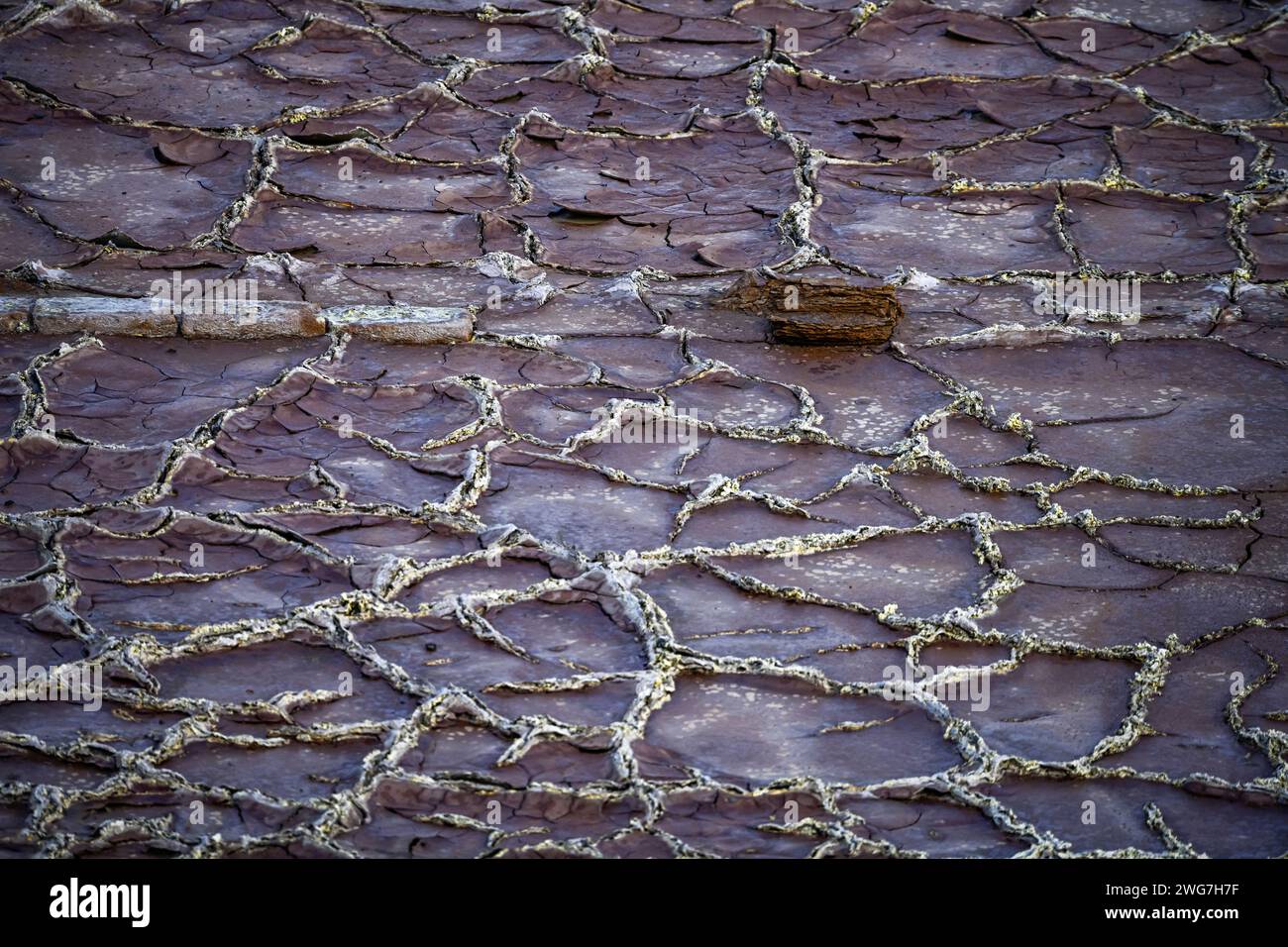Minerali evaporativi immagini e fotografie stock ad alta risoluzione ...
