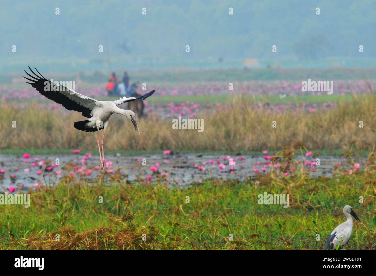 Dibir haor immagini e fotografie stock ad alta risoluzione - Alamy