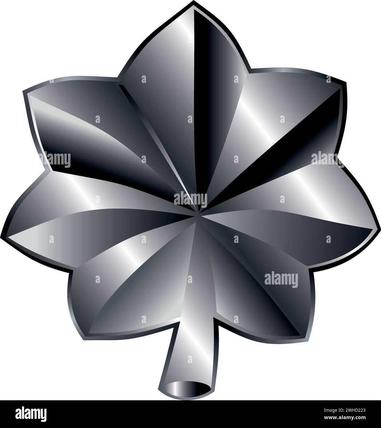 Tenente colonnello generale Immagini Vettoriali Stock - Alamy