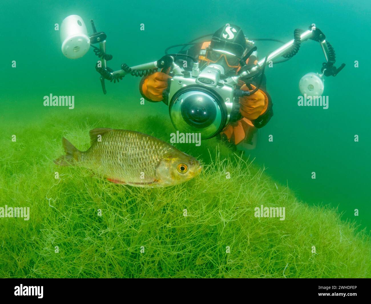 Bajo el agua fotografias fotografias fotografias fotografias immagini e ...