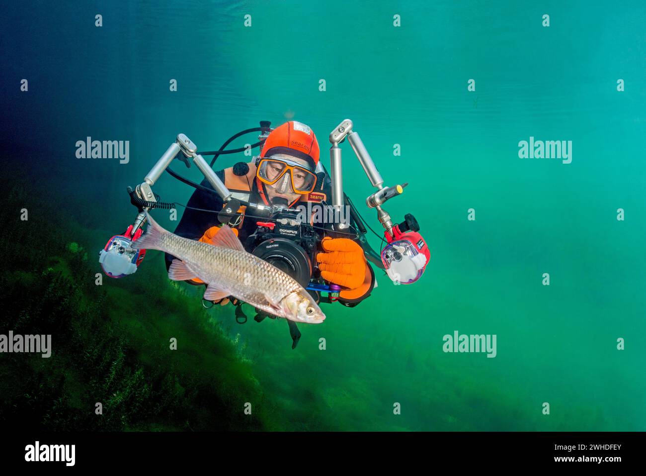 Bajo el agua fotografias fotografias fotografias fotografias immagini e ...