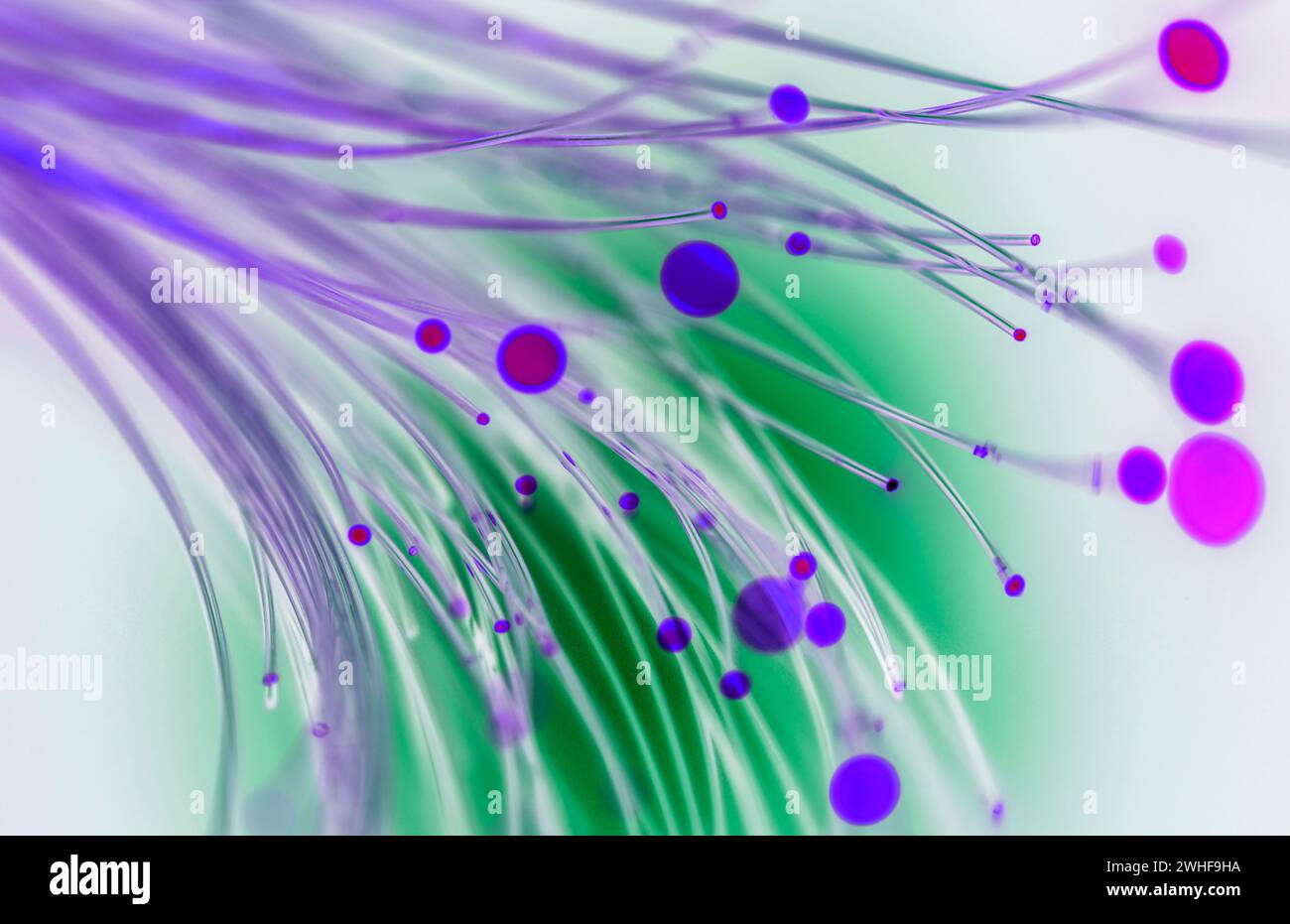 Optic fibres immagini e fotografie stock ad alta risoluzione - Alamy