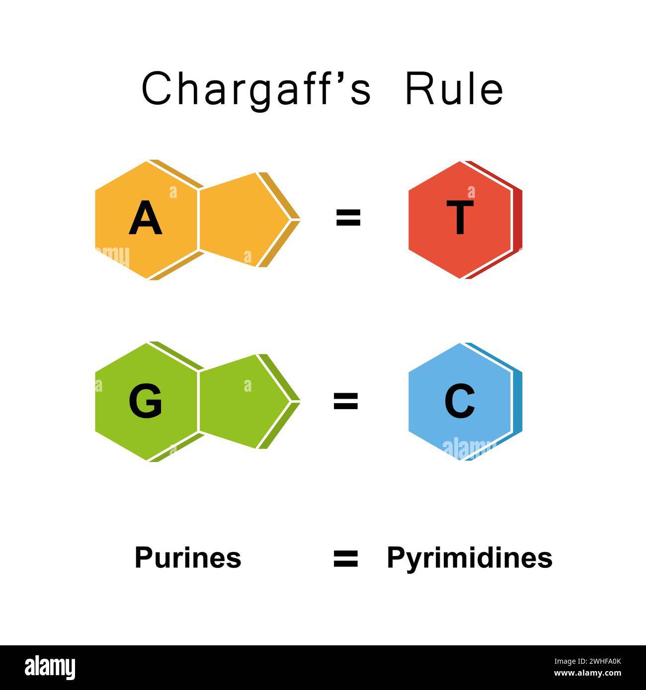Regola della scuola immagini e fotografie stock ad alta risoluzione - Alamy