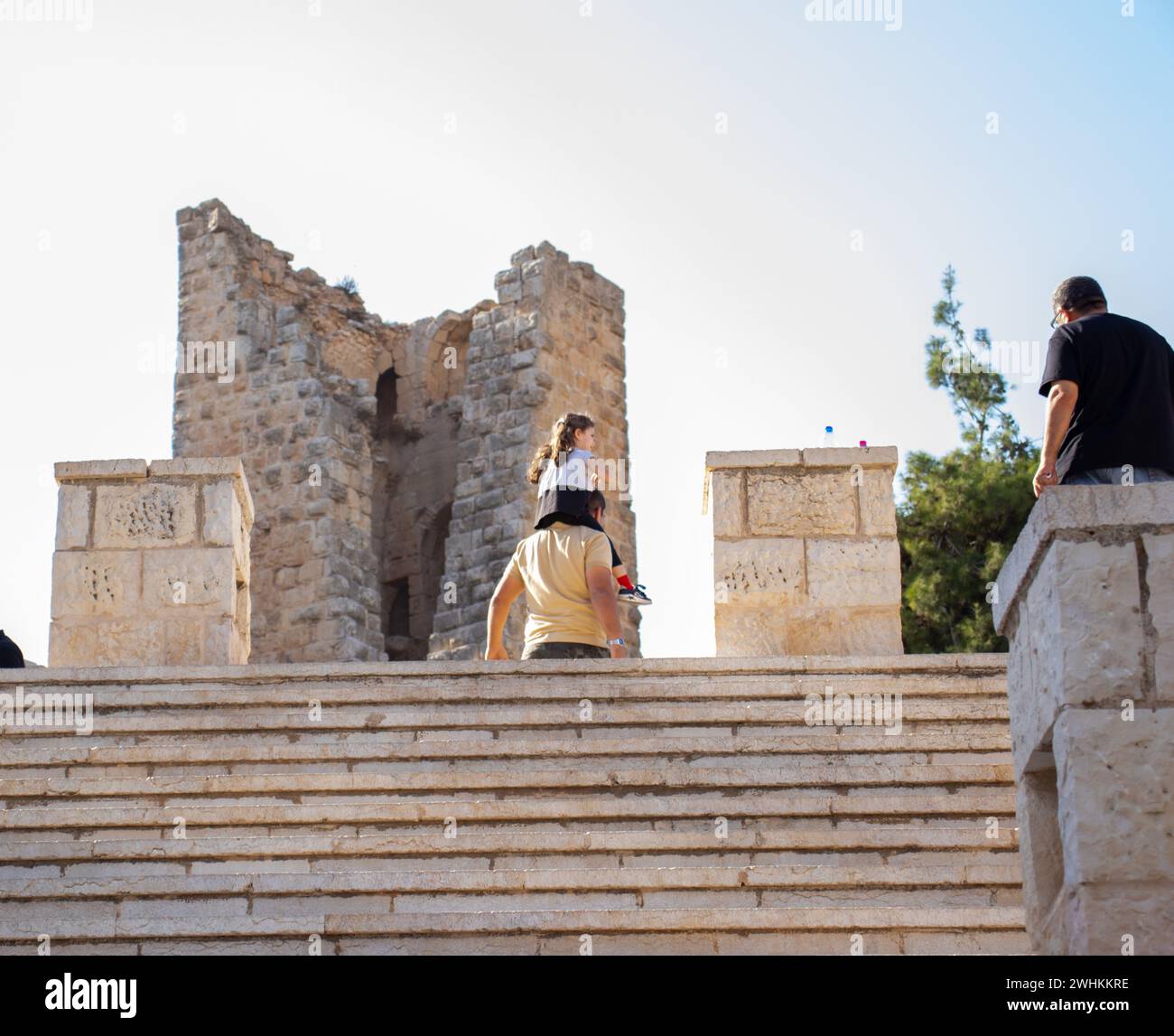 Castello di ajlon immagini e fotografie stock ad alta risoluzione - Alamy