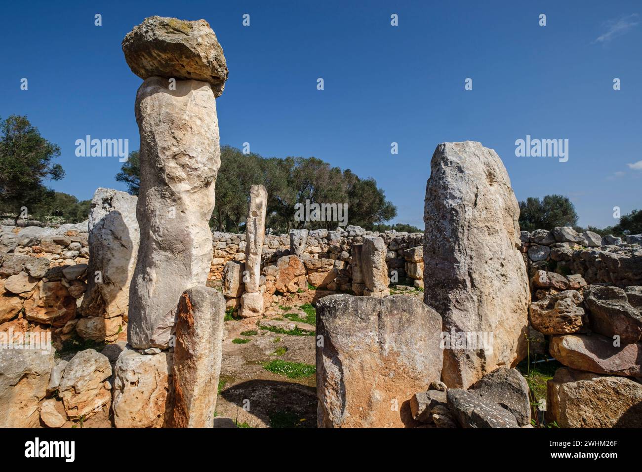 Costruzione dell'età del ferro immagini e fotografie stock ad alta ...