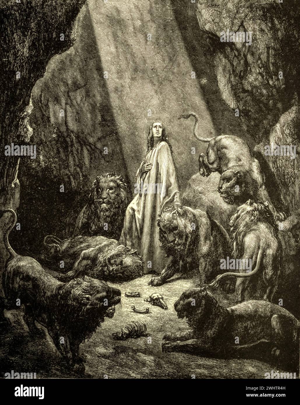 Fossa dei leoni immagini e fotografie stock ad alta risoluzione - Alamy