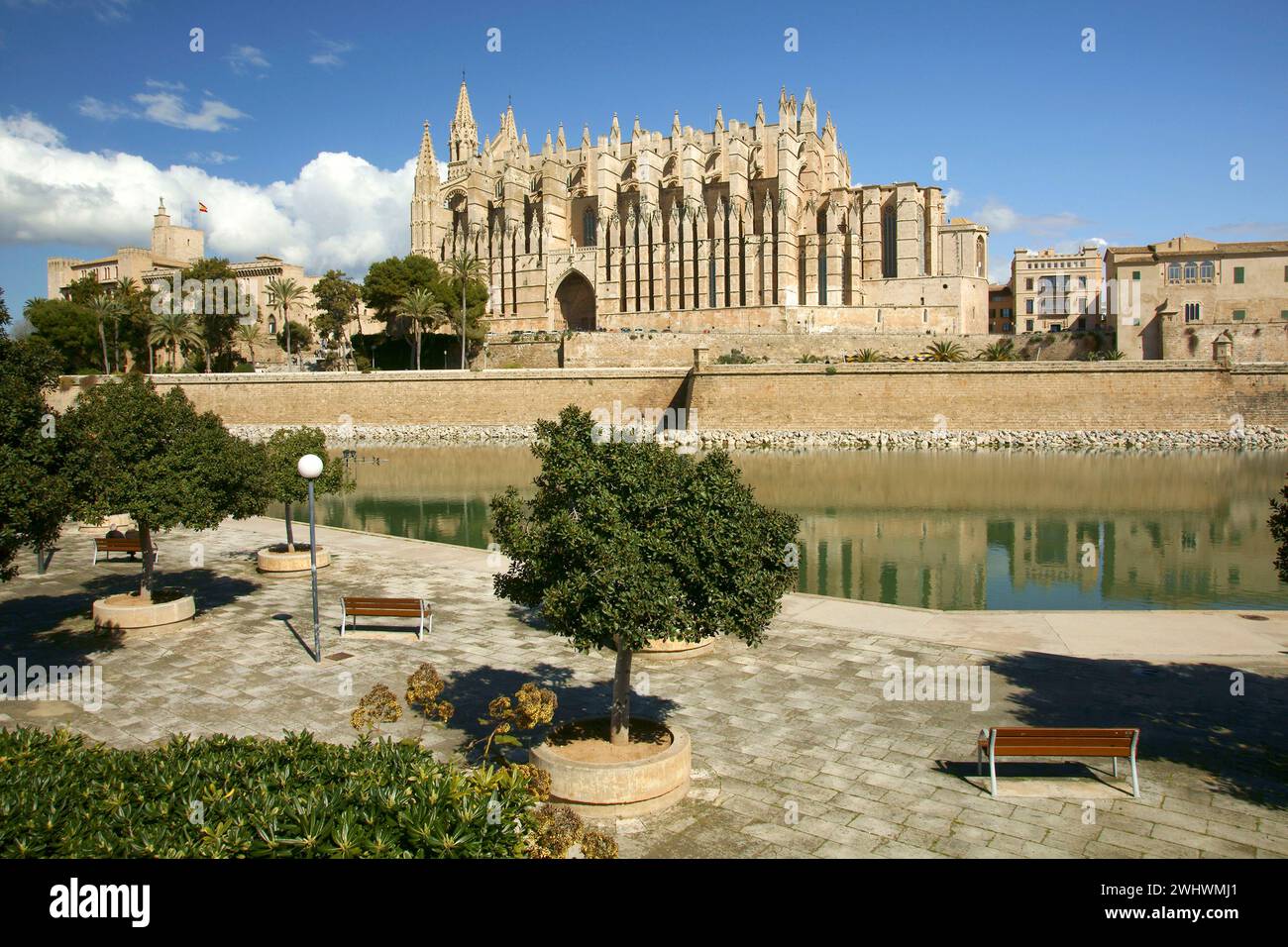 Chiesa santa iglesia catedral de mallorca immagini e fotografie stock ...