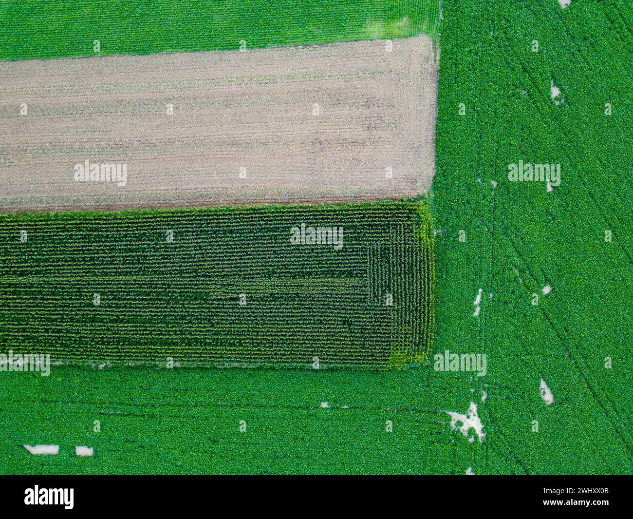 Agricultural patterns immagini e fotografie stock ad alta risoluzione ...