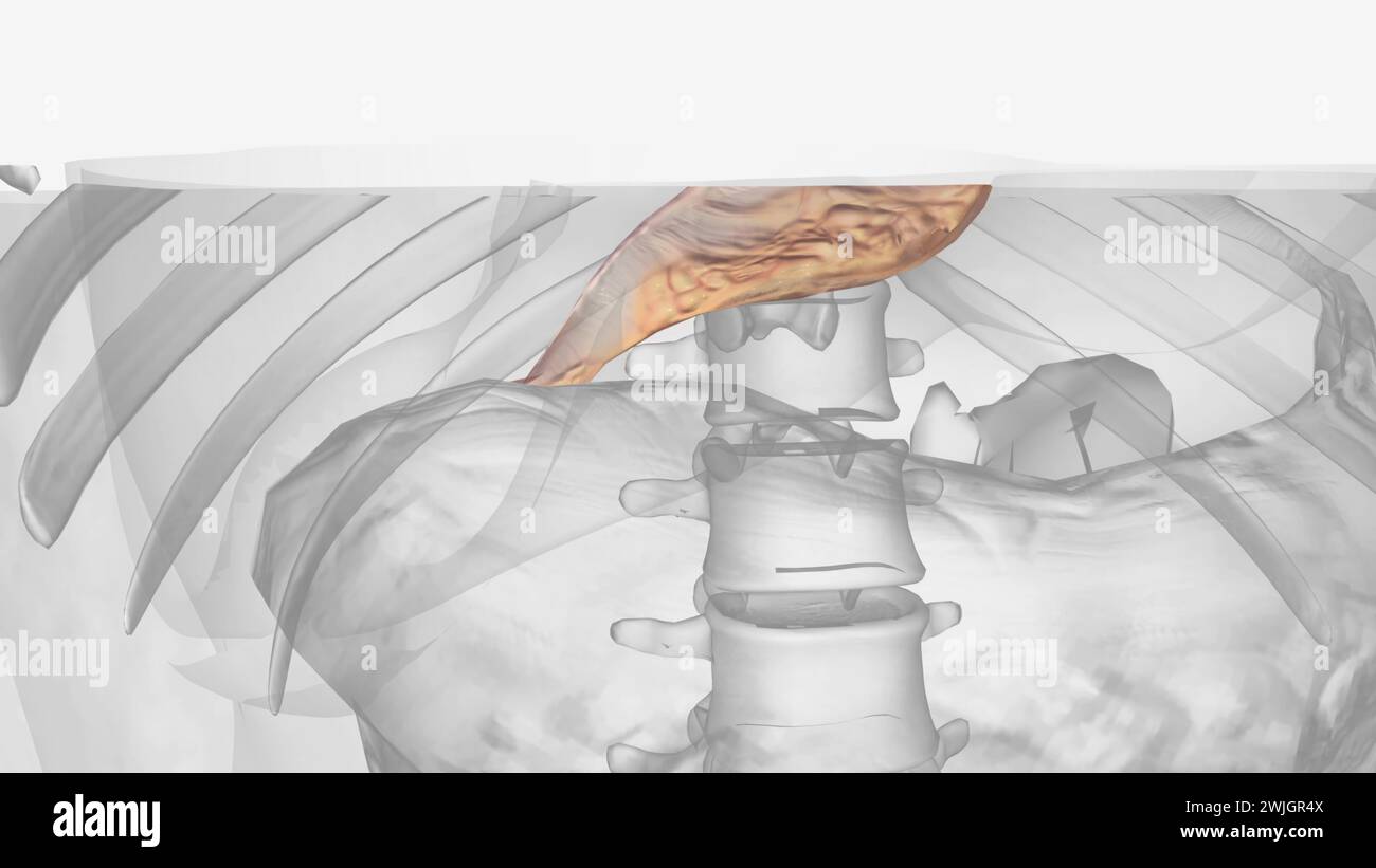 Piccolo omento immagini e fotografie stock ad alta risoluzione - Alamy