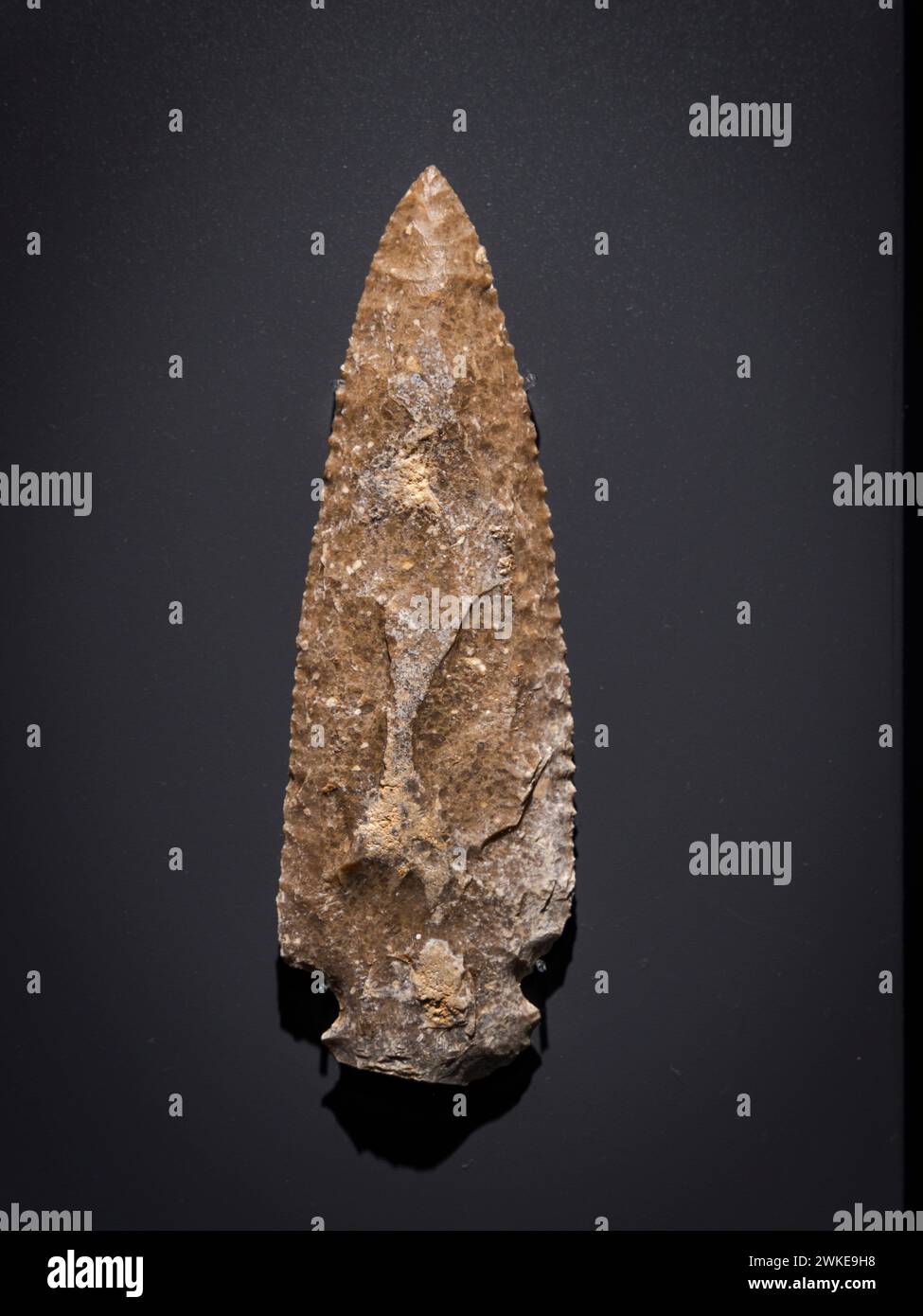 La garma immagini e fotografie stock ad alta risoluzione - Alamy