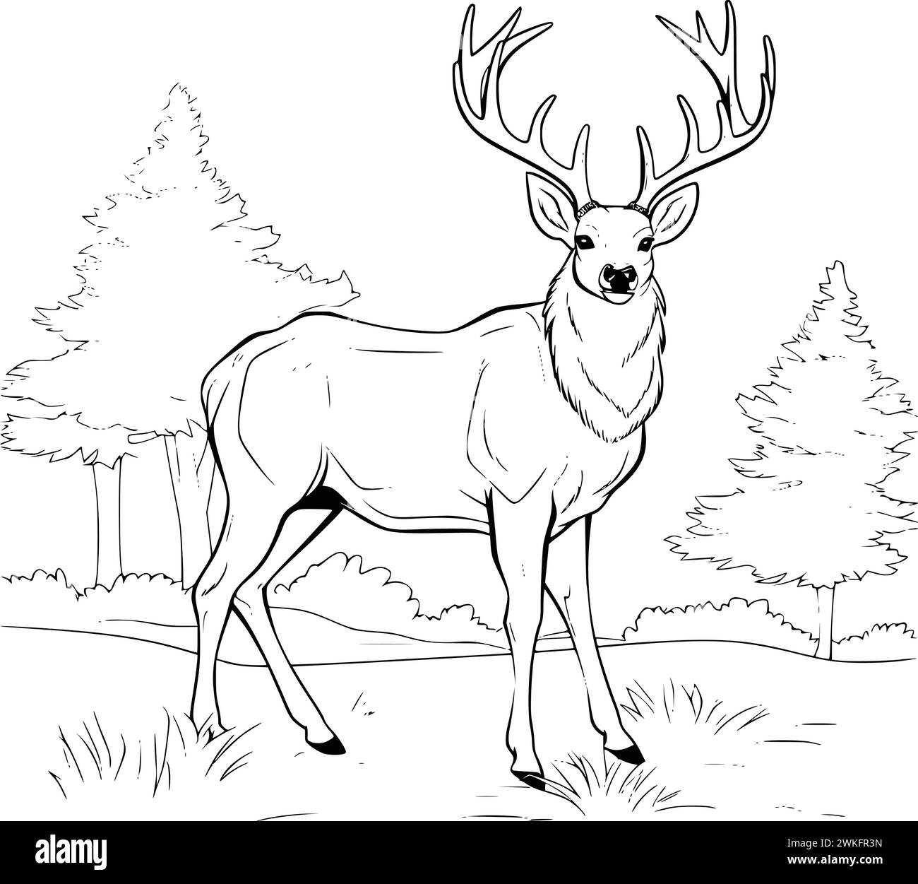 Disegni facili da colorare di cervi immagini e fotografie stock ad alta ...