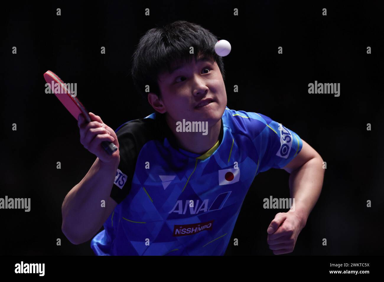 Busan, Corea del Sud. 22 febbraio 2024. Il giapponese Harimoto Tomokazu ...
