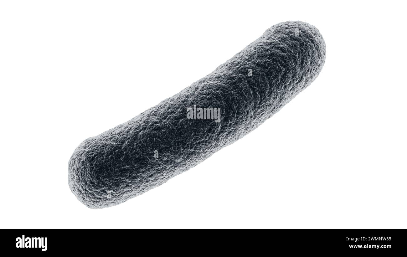Cellula procariota microscopio immagini e fotografie stock ad alta ...