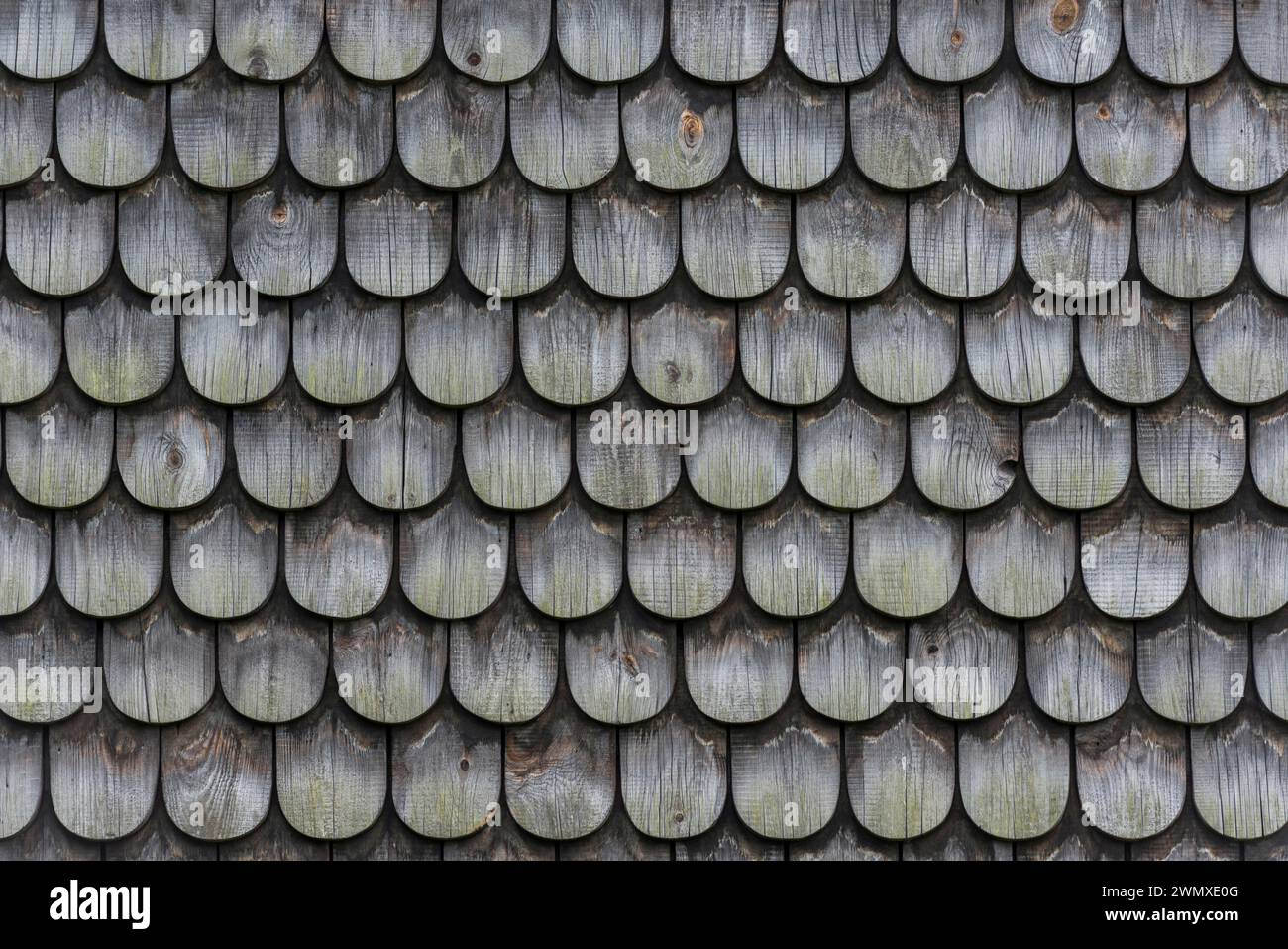 Costruzione del tetto in legno immagini e fotografie stock ad alta ...