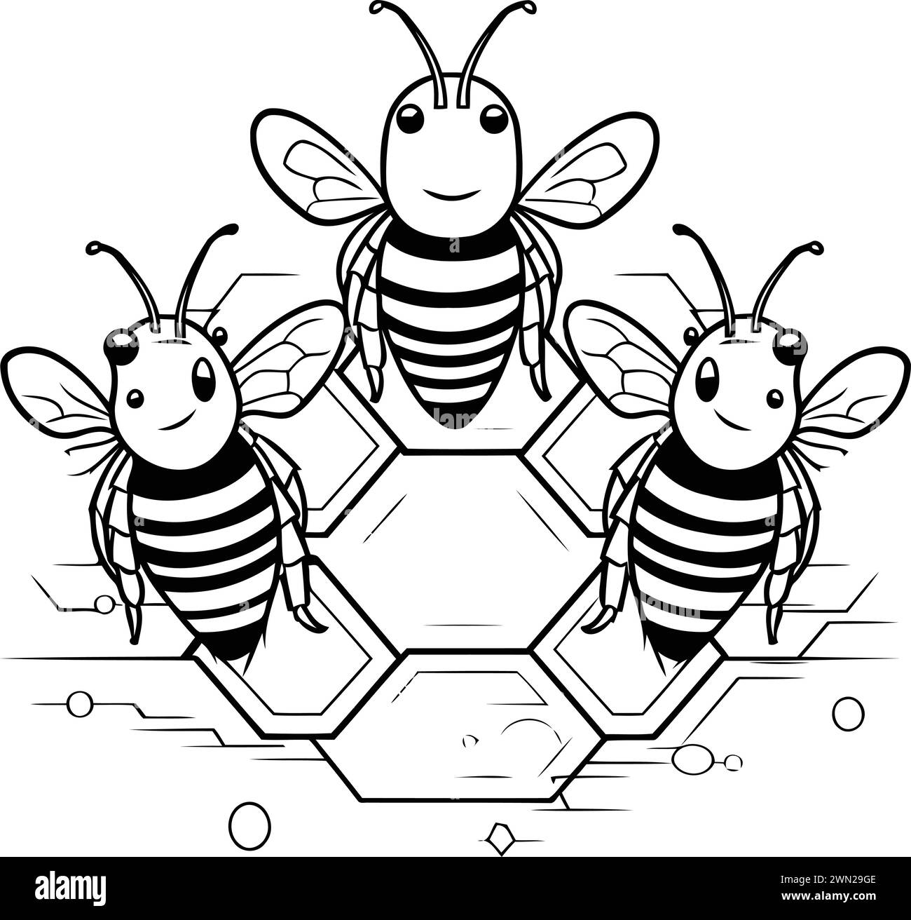 Miele delle api apis mellifera mellifera Immagini Vettoriali Stock - Alamy