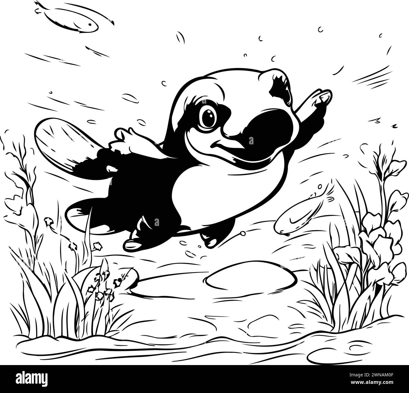 Rana che salta Foto e Immagini Stock in Bianco e Nero - Alamy