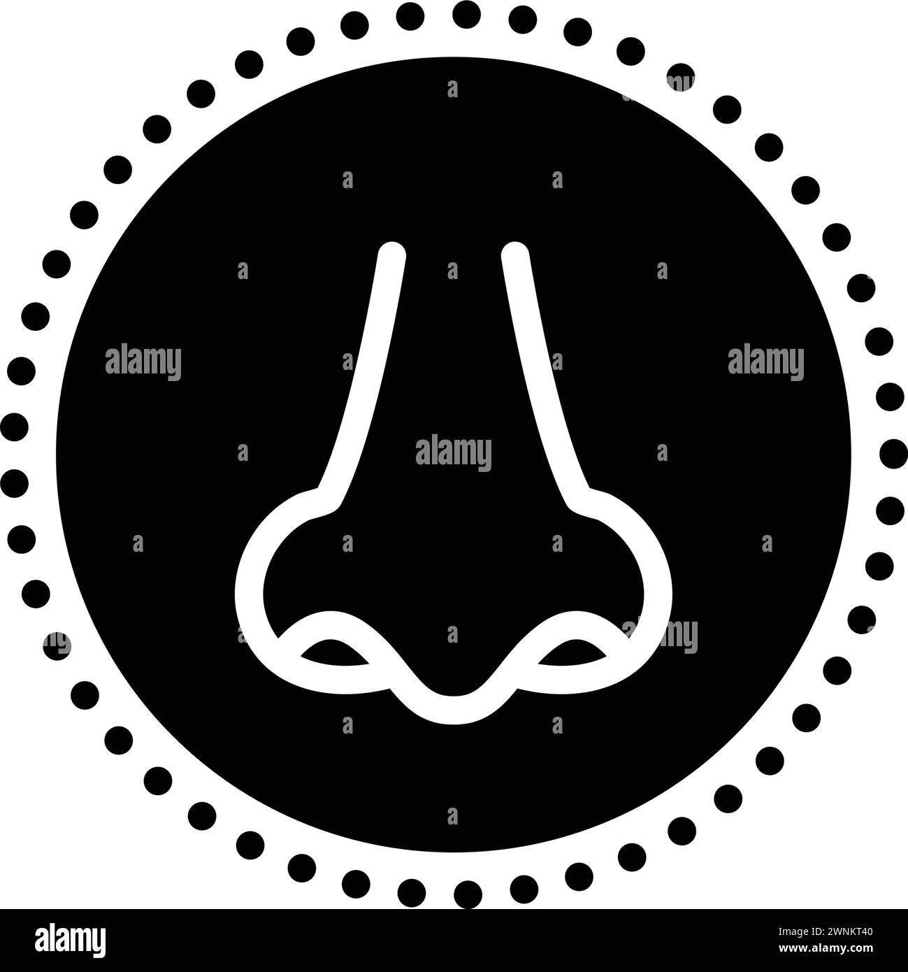 Anatomia dell'olfatto Immagini Vettoriali Stock - Alamy