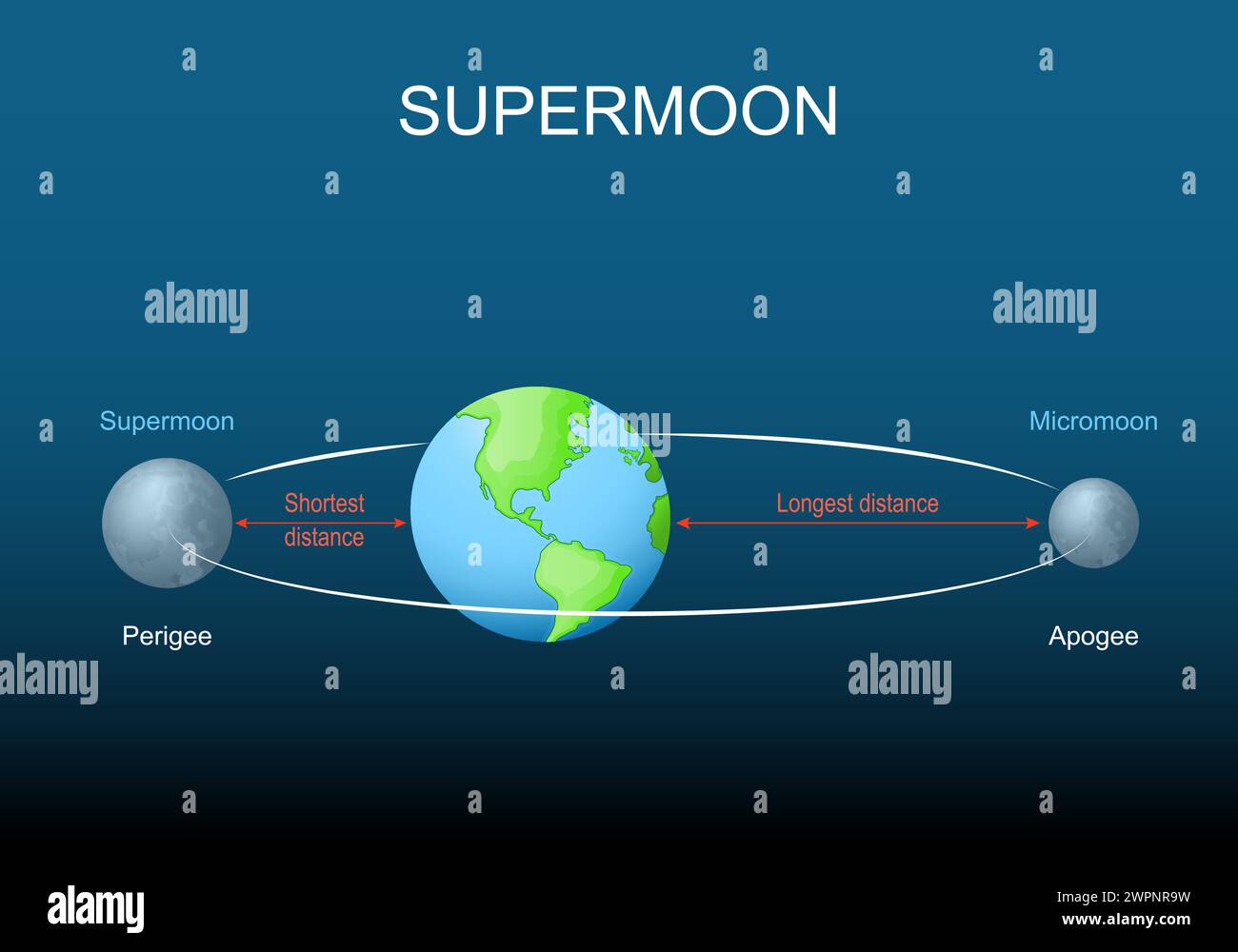 Movimiento lunar Immagini Vettoriali Stock - Alamy