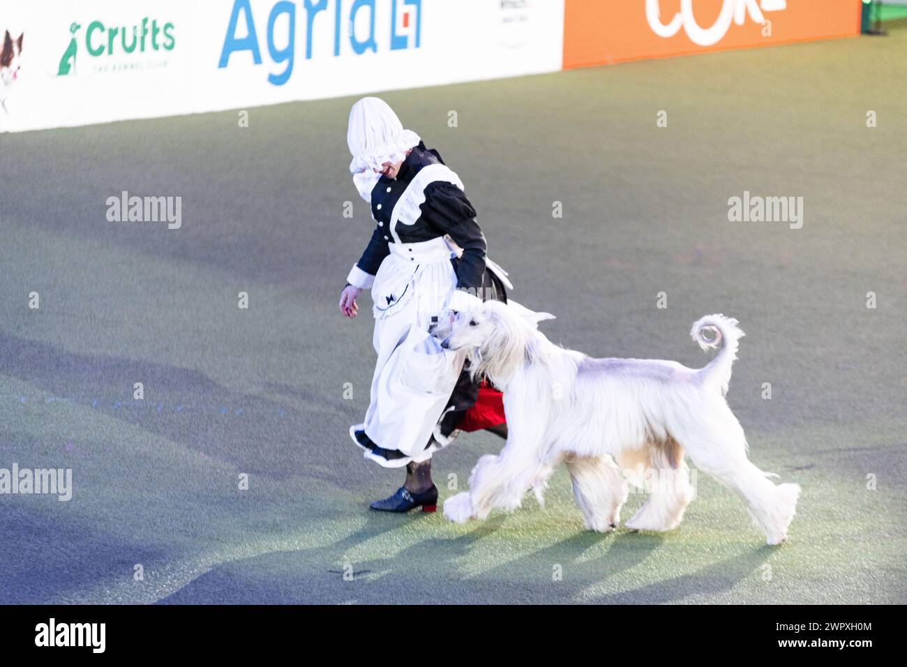 Crufts 2024 international freestyle heelwork con la musica immagini e ...