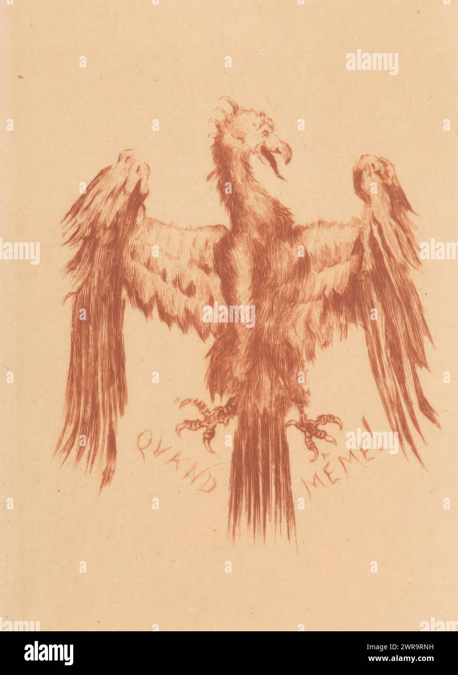 Aquila 104 immagini e fotografie stock ad alta risoluzione - Alamy