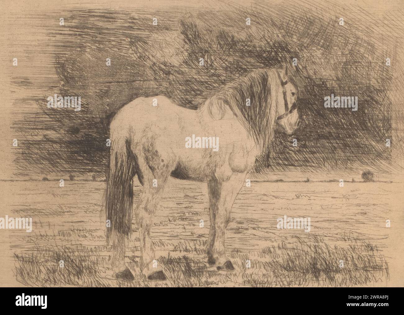 Larghezza 226 mm immagini e fotografie stock ad alta risoluzione - Alamy