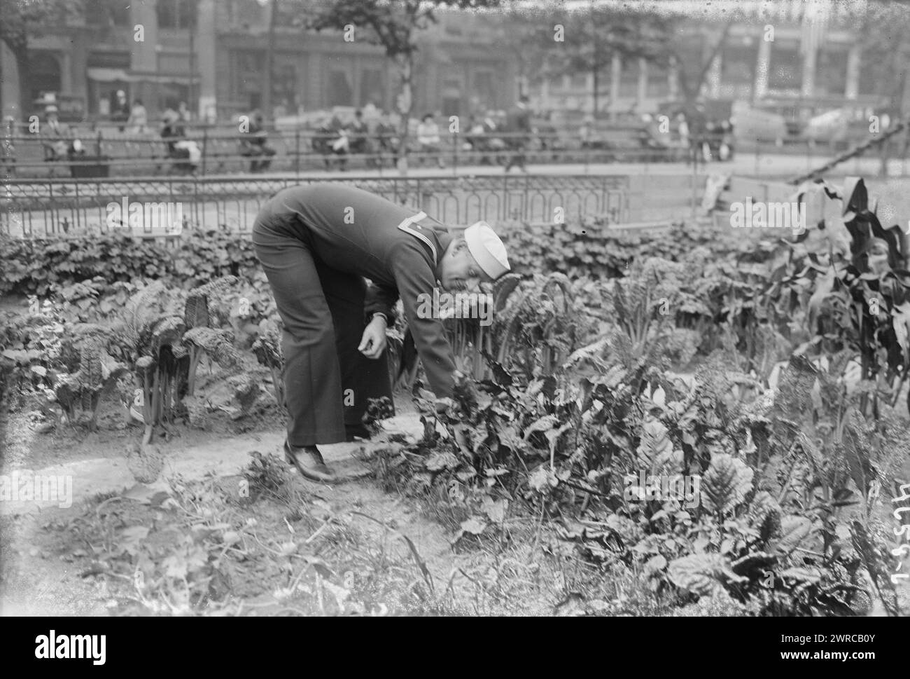 Registrato canzoni patriottiche immagini e fotografie stock ad alta ...