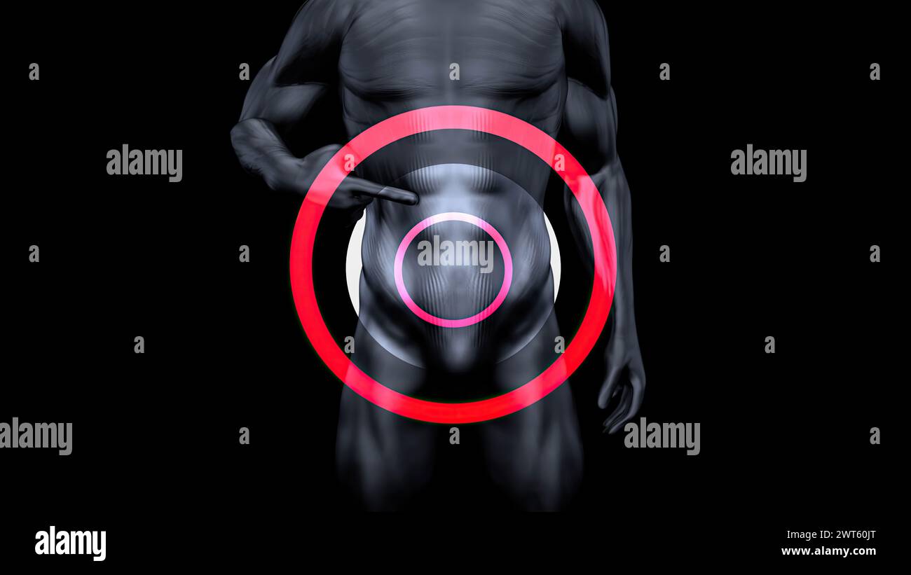Illustrazione di anatomia dei muscoli addominali maschili immagini e ...