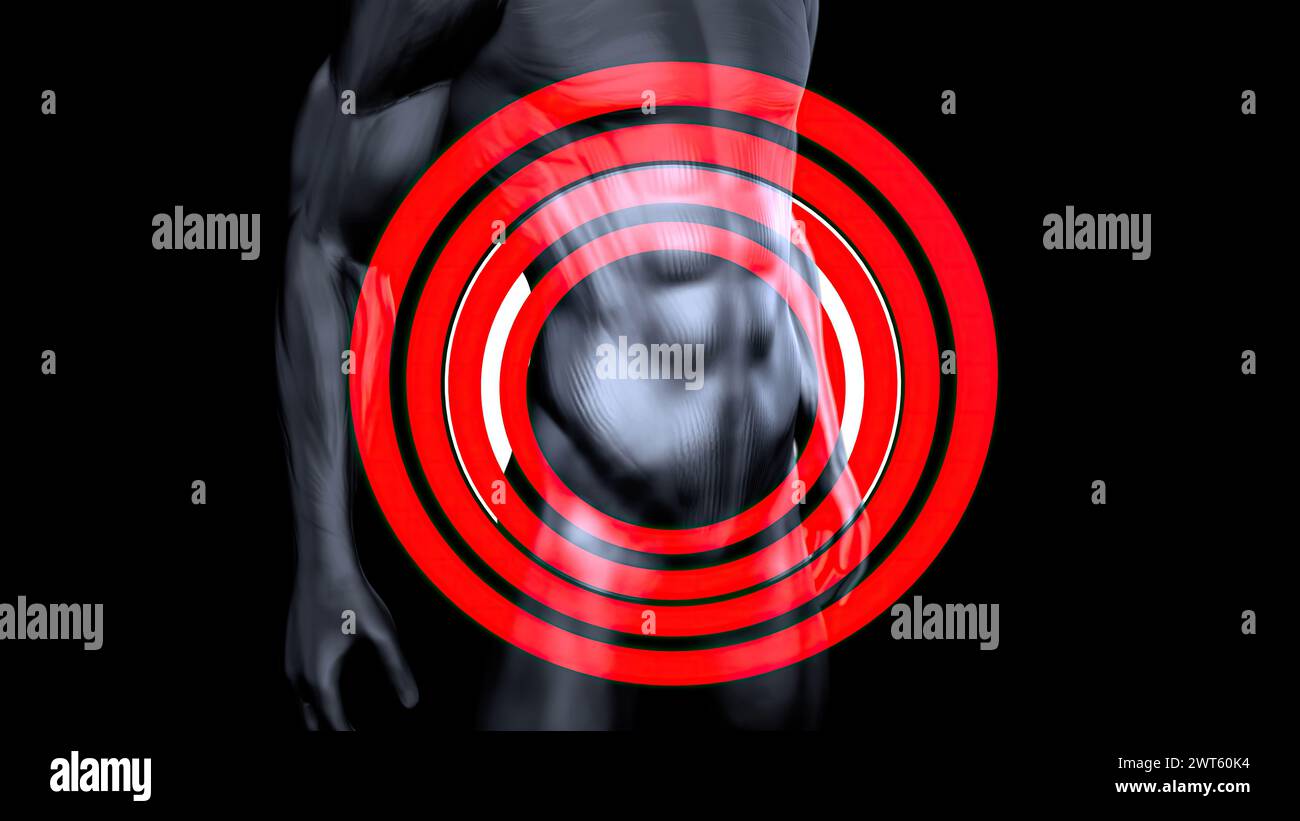 Illustrazione di anatomia dei muscoli addominali maschili immagini e ...