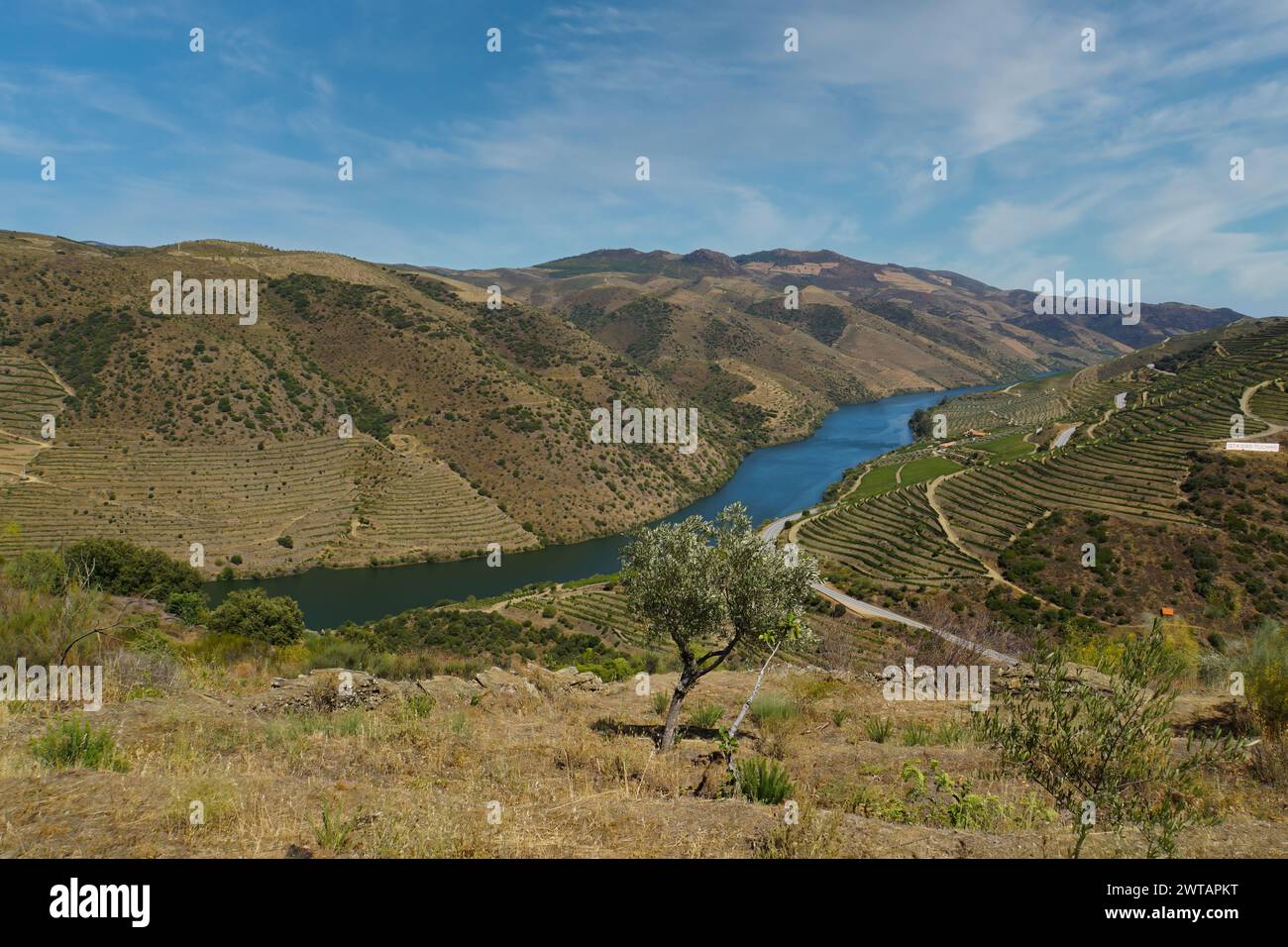 Vale do rio immagini e fotografie stock ad alta risoluzione - Alamy