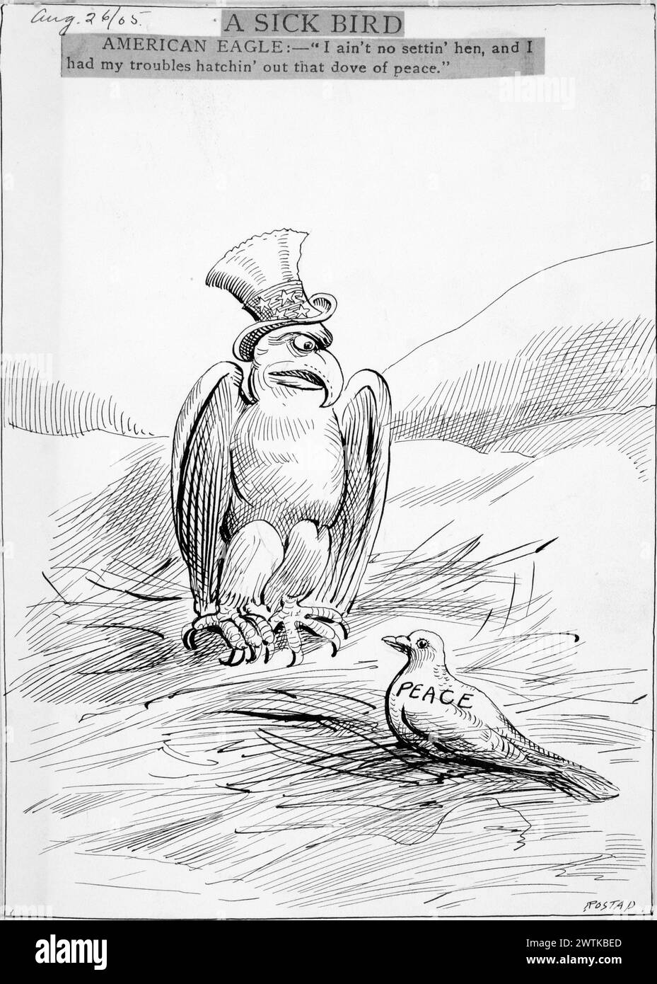 Sick bird Foto e Immagini Stock in Bianco e Nero - Alamy