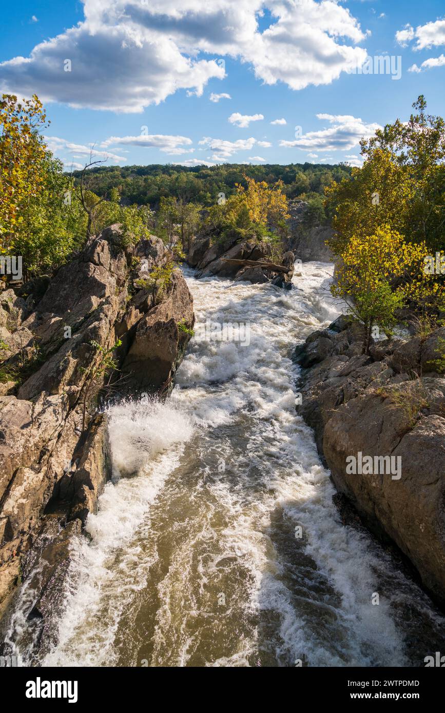 ökosystem des potomac river immagini e fotografie stock ad alta ...