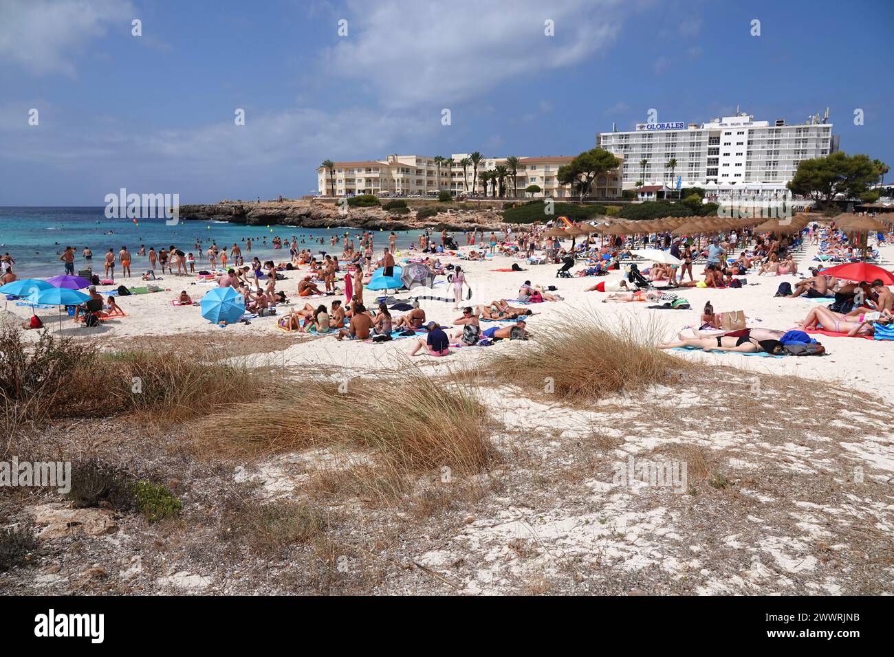 Cala bosch immagini e fotografie stock ad alta risoluzione - Alamy