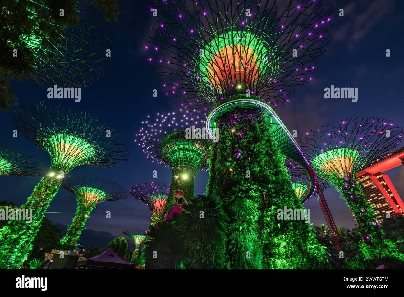 Supertre supertrees immagini e fotografie stock ad alta risoluzione - Alamy