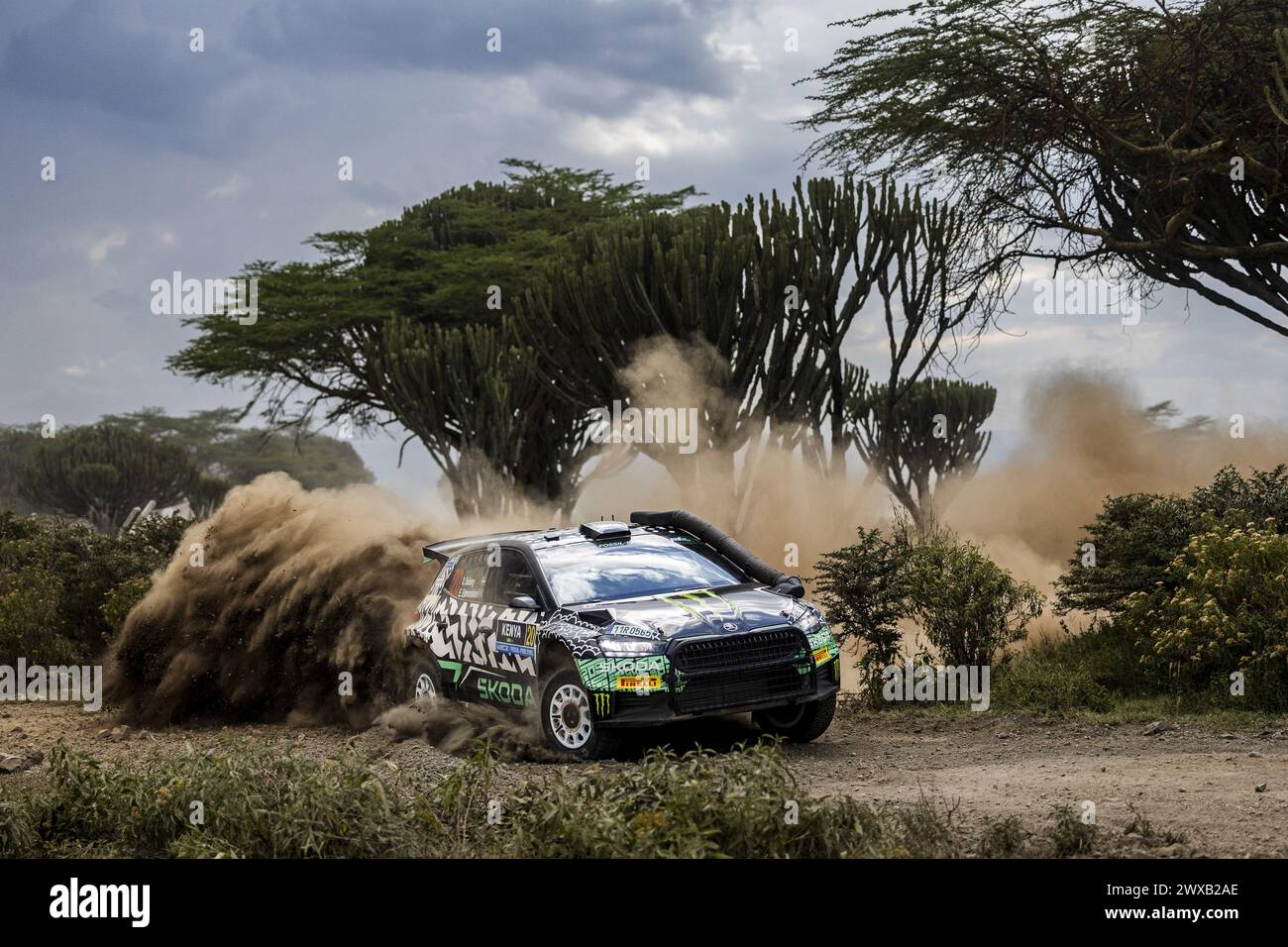 20 SOLBERG Oliver, EDMONDSON Elliott, Skoda Fabia RS Rally2, azione ...