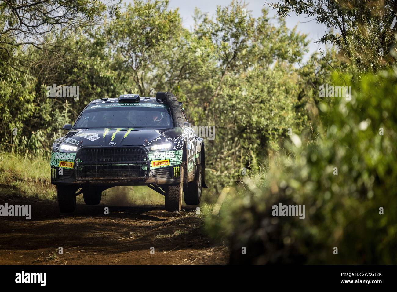 20 SOLBERG Oliver, EDMONDSON Elliott, Skoda Fabia RS Rally2, azione ...