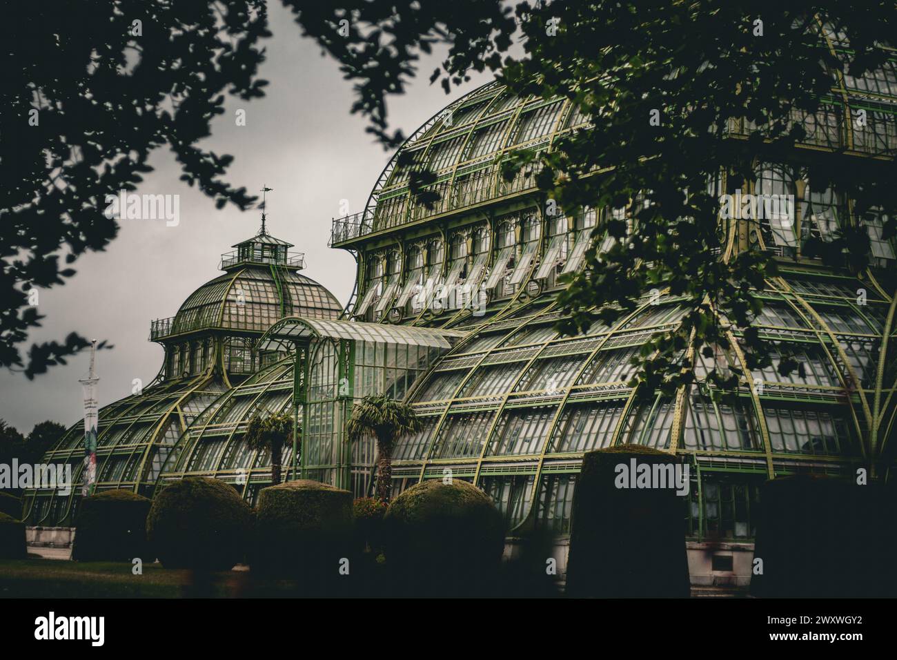 Palmenhaus vienna immagini e fotografie stock ad alta risoluzione - Alamy