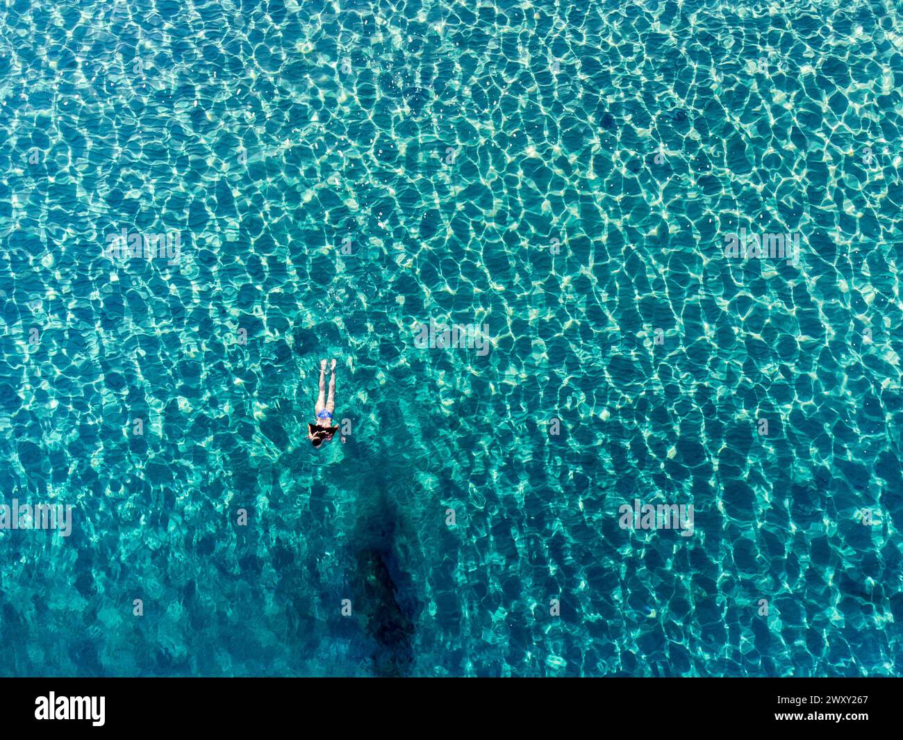 Donna che nuota nel mare immagini e fotografie stock ad alta ...