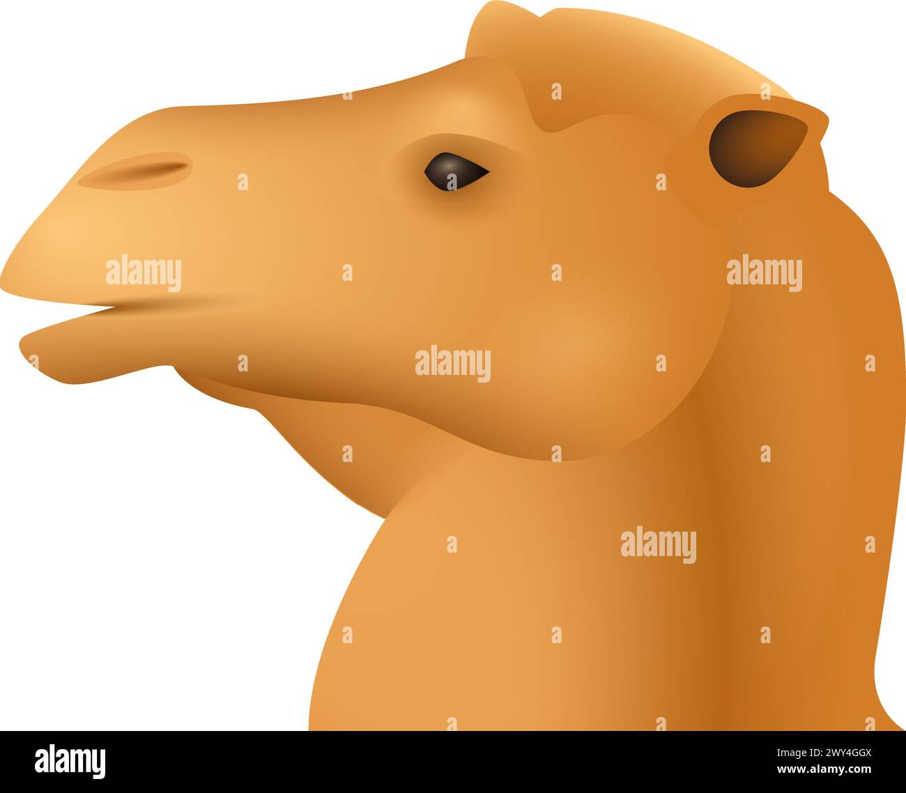 Logo del cammello immagini e fotografie stock ad alta risoluzione - Alamy