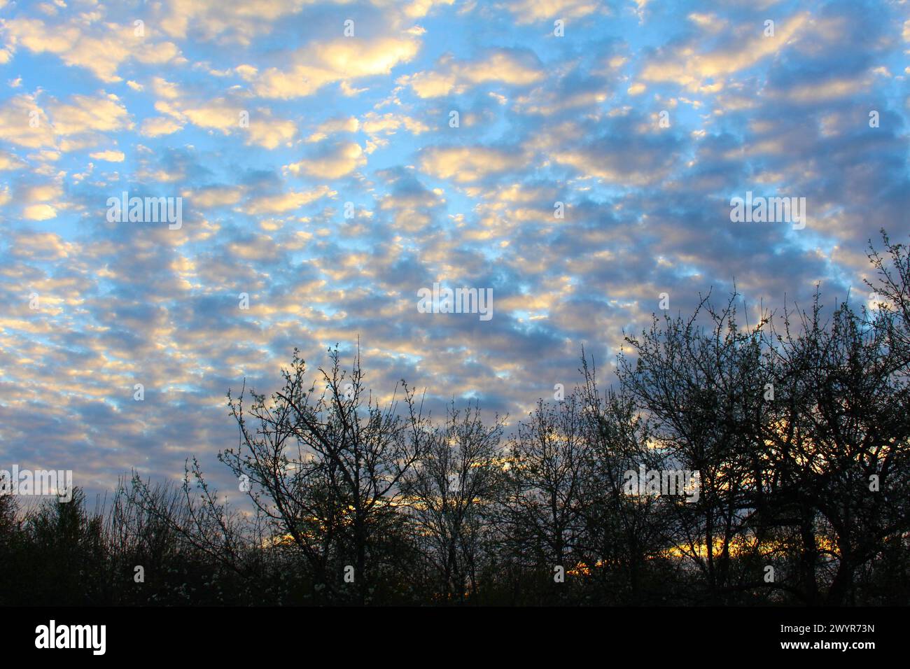 Bluey sky immagini e fotografie stock ad alta risoluzione - Alamy