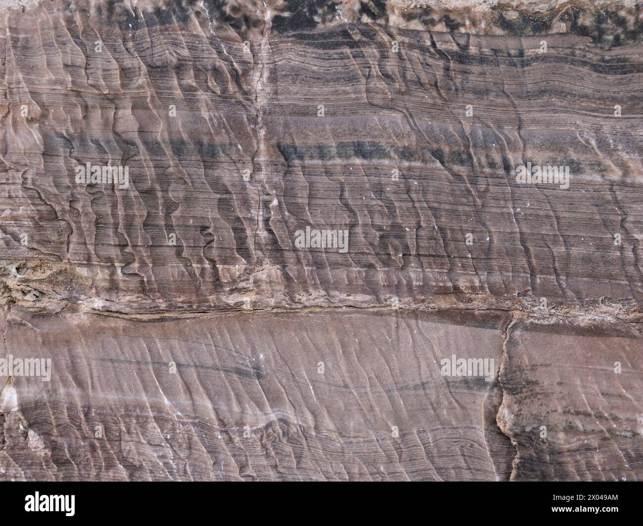 Sfondi di texture naturali immagini e fotografie stock ad alta ...