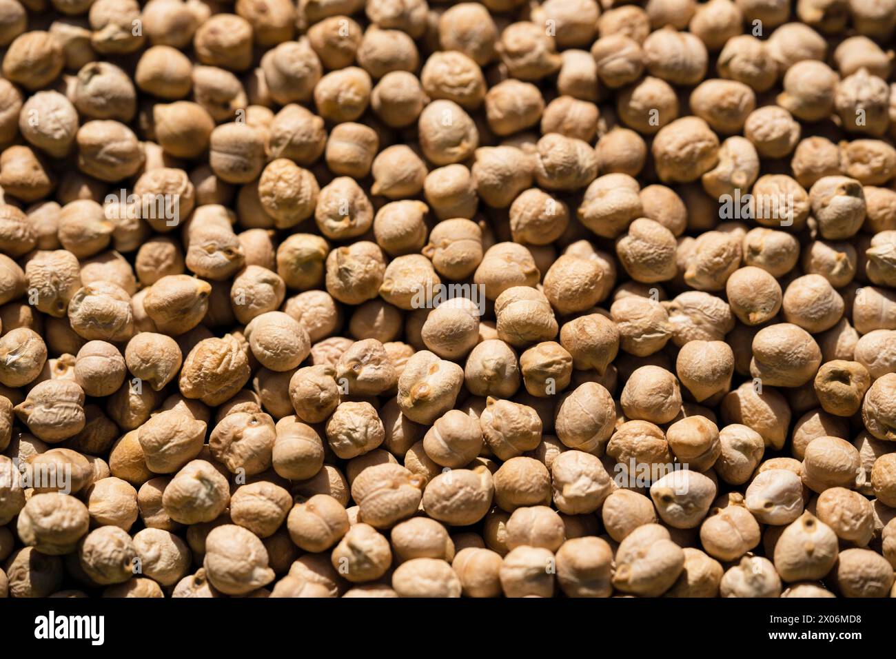 Piante di ceci immagini e fotografie stock ad alta risoluzione - Alamy