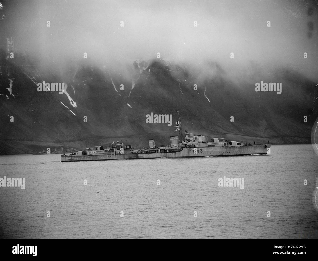 Tarpon della marina reale immagini e fotografie stock ad alta ...