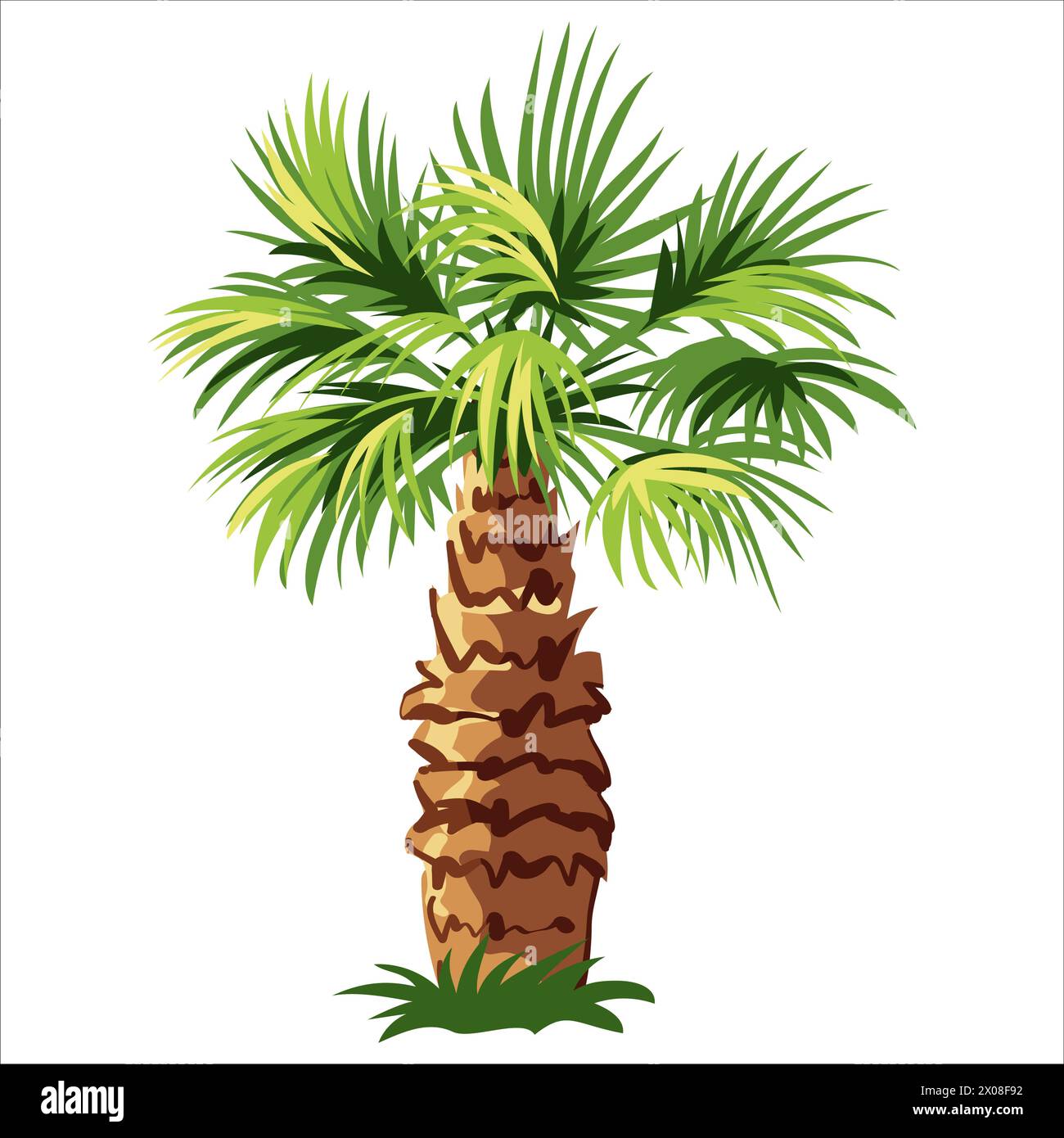 Palma da dattero disegno Immagini senza sfondo e Foto Stock ritagliate ...