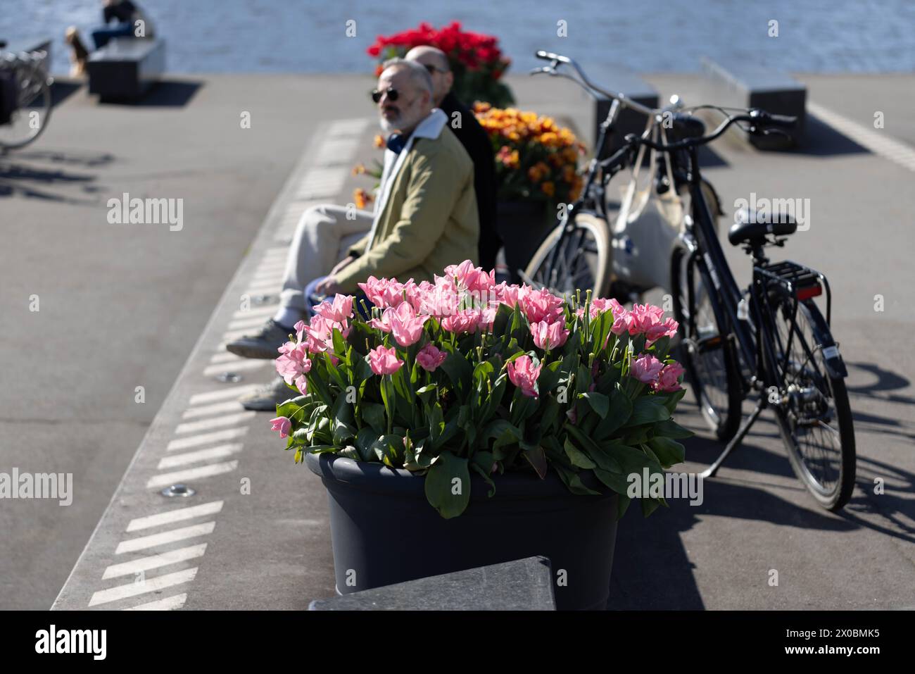 Festa dei tulipani 2024 immagini e fotografie stock ad alta risoluzione ...