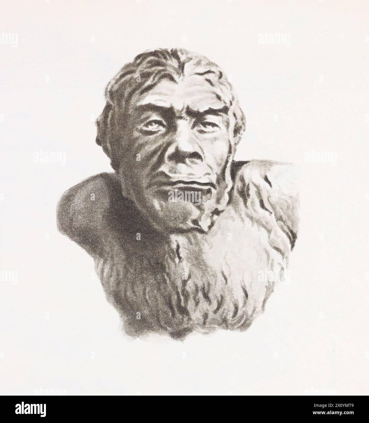 Uomo preistorico ricostruzione immagini e fotografie stock ad alta ...