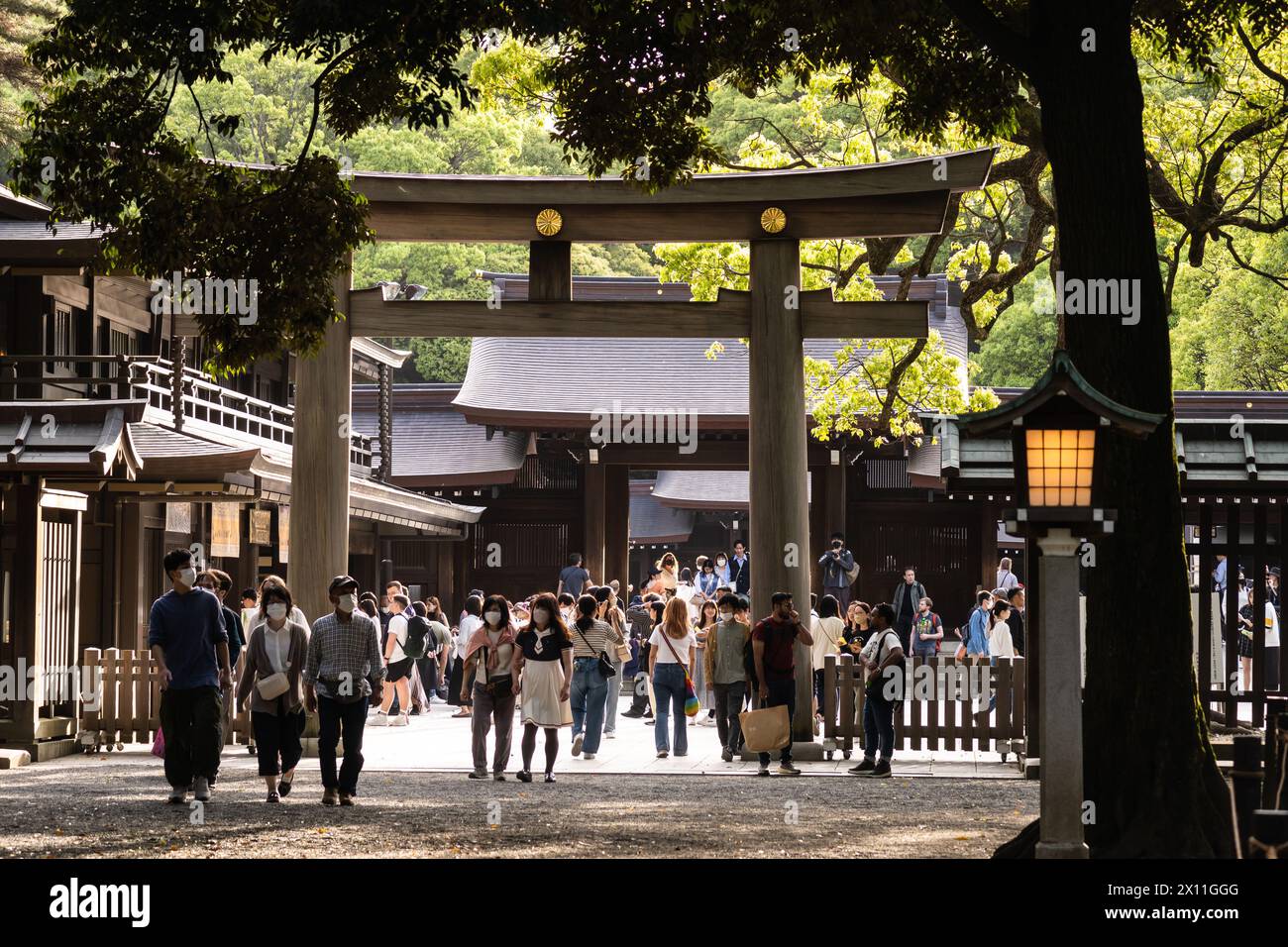 Primavera nella foresta di meiji jingu immagini e fotografie stock ad ...