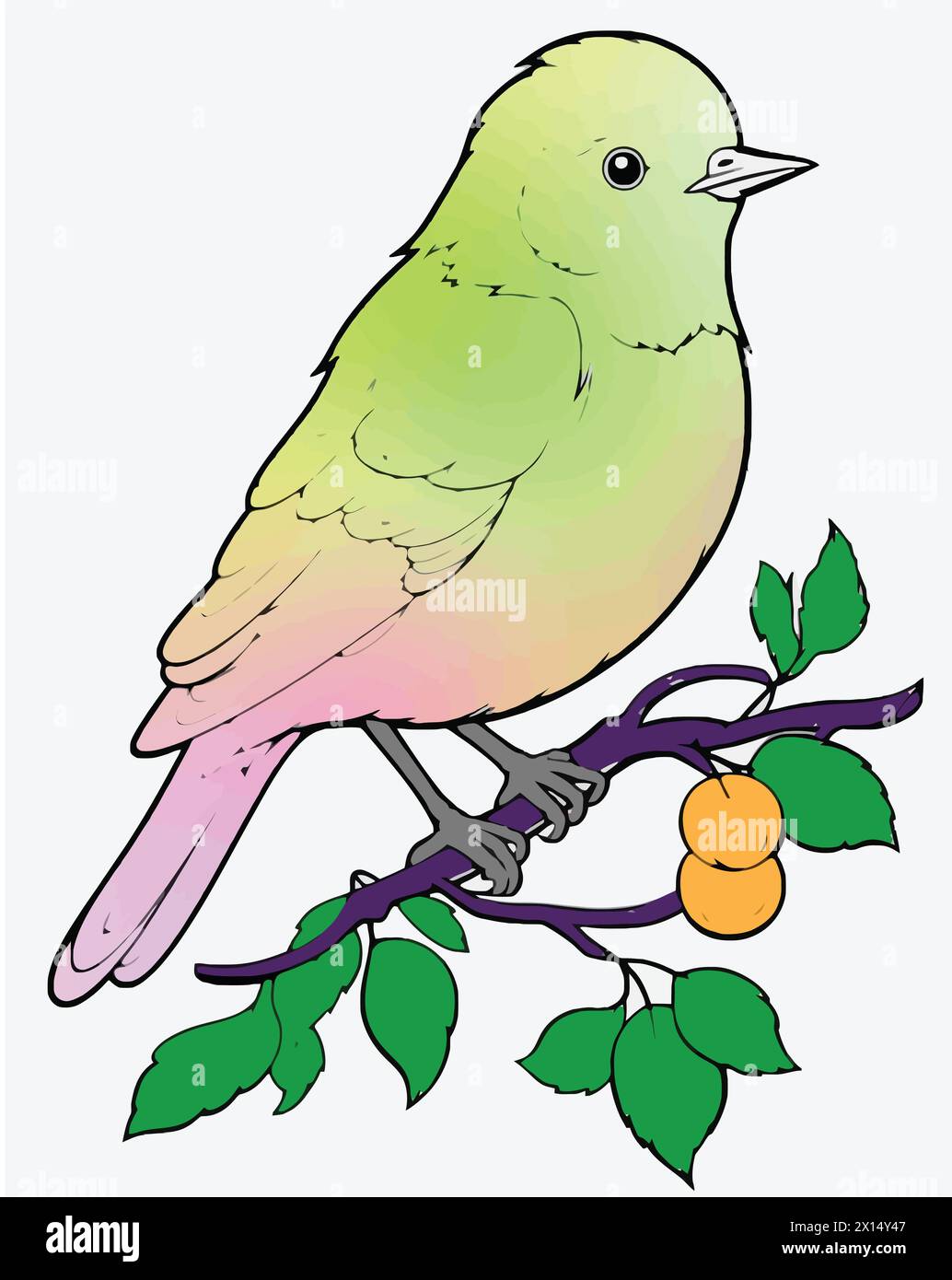 Uccello sul ramoscello Immagini Vettoriali Stock - Alamy