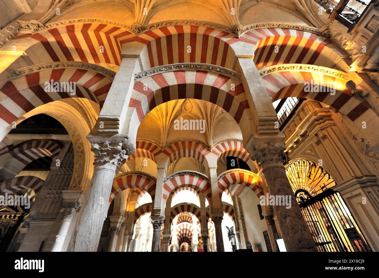 Interno, Foresta di colonne, Mezquita, ex moschea, oggi cattedrale ...